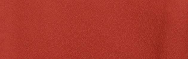 色無地 レンタル 袷〔10月〜5月向き〕レンガ色 お宮参り 送料無料 NT-82 色無地 レンタル 袷〔10月〜5月向き〕レンガ色 お宮参り