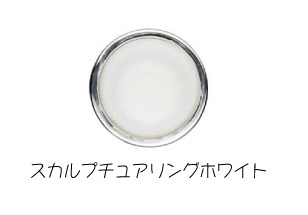 【送料無料】AKZENTZ(アクセンツ)   オプションズジェル　〔15g〕 【送料無料】  スカルプチュアリング　ホワイト