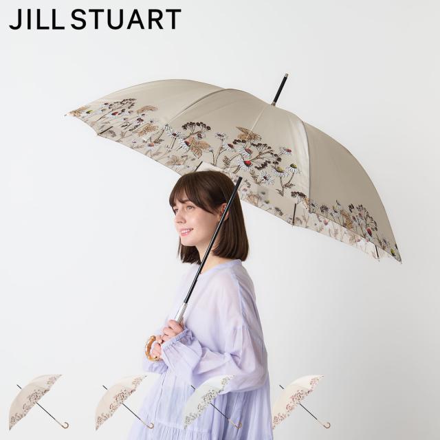 ジルスチュアート JILLSTUART 長傘 雨傘 レディース 軽量 ベージュ レッド ブルー ピンク 1JI 11058