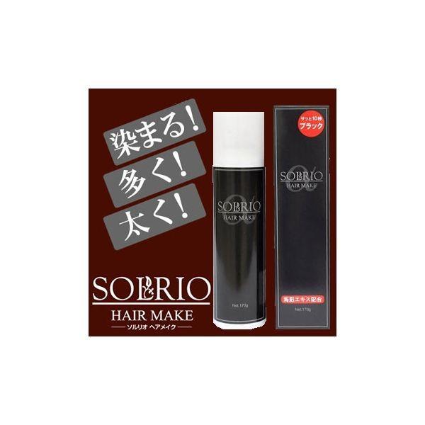 4560355750068 【24個入】ソルリオヘアメイク ブラック 25382【キャンセル不可】 170g ブラック染毛 ヘアカラー