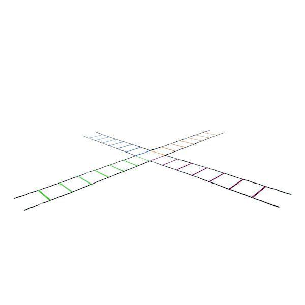 エバニュー EVERNEW 4934048615345 4色マルチラダーロープ ETE063