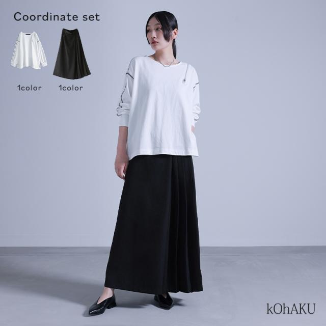 【送料無料】『シアー切替カットソー×カシュクール風アシメプリーツパンツコーデ2点SET』【メール便不可】【30】[2点コーデセット 2024 レディース Tシャツ カットソー パンツ ボトムス ワイドパンツ プリーツ]