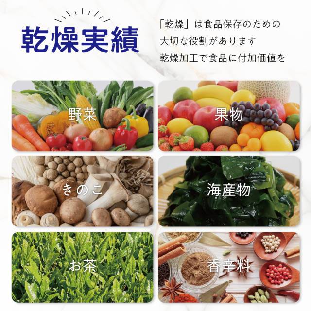 食品乾燥機 大紀産業 E-3H plus 6kg処理 1.3kW 野菜乾燥機 フードドライヤー 温風乾燥機 日本製 家庭用 業務用 簡単操作で ドライフルーツ 野菜チップス ジャーキー