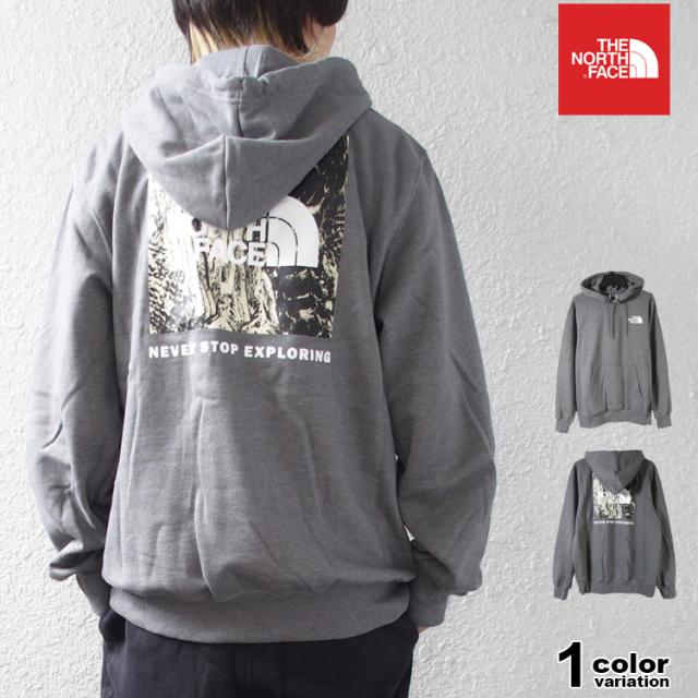 ノースフェイス パーカー プルオーバー THE NORTH FACE Lunar New Year Snake Print Hoodie  スウェット プルオーバーパーカー 裏起毛 メンズ レディース NF0A8BY5