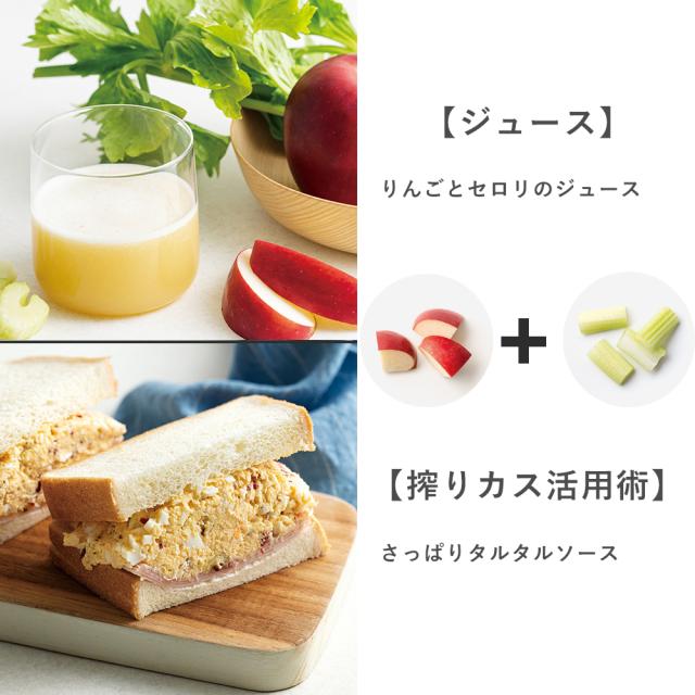 レコルト Coldpress Juicer Mini コールドプレスジューサー ミニ RCJ-1 | recolte スロー 無水 【ラッピング不可】