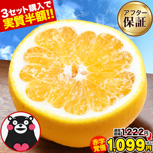 SALE 速攻出荷【まとめ買い特典★3セット買うと+3セットおまけ！】 河内晩柑 1.5kg 送料無料 和製 グレープフルーツ おまけ 増量 フルーツ 果物 みかん 4.5kg 9kg 訳あり ...