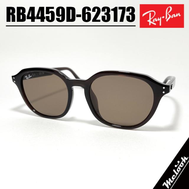 Ray-Ban レイバン サングラス RB4459D-623173  RB4459D-6231/73 ブラウン オパールブラウン Opal Brown メンズ レディース セル 男女兼用モデル Luxottica Japan 日本国内正規品