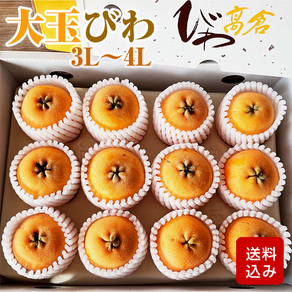 びわ 大玉 1kg 3L-4L 化粧箱入 高倉びわ ながお なつたより 化粧箱入 ギフト 福岡県産の通販はau PAY マーケット - 朝ごはん本舗 au PAY マーケット店 | au ...