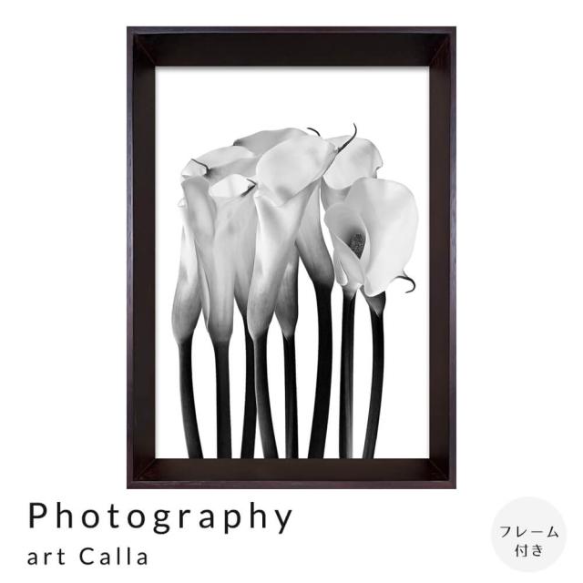 Photography art Calla アートポスター（フレーム付き）の通販はau PAY マーケット - アンココン~UNCOCON~ | au PAY マーケット－通販サイト