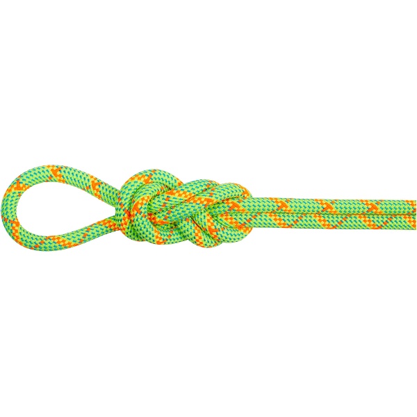MAMMUT マムート 8.0 Alpine Core Protect Dry Rope 50m アウトドア クライミング用品 201005050-1287