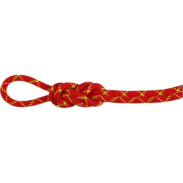 MAMMUT マムート 8.0 Alpine Core Protect Dry Rope 70m アウトドア クライミング用品 201005090-3788