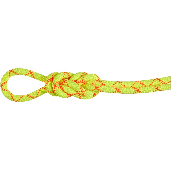 MAMMUT マムート 9.5 Alpine Core Protect Dry Rope 50m アウトドア クライミング用品 201005430-1287