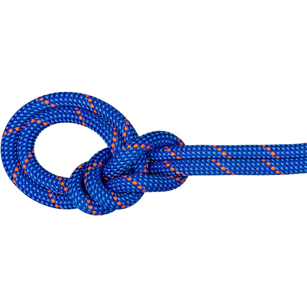 MAMMUT マムート 9.5 Crag Dry Rope 70m アウトドア クライミング用品 201006060-50624