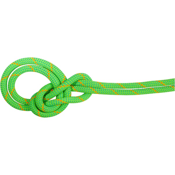MAMMUT マムート 9.5 Crag Eco Dry Rope 50m アウトドア クライミング用品 201006090-40315