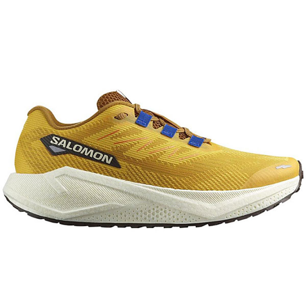 サロモン SALOMON AERO BLAZE 3 GRVL メンズ トレイルランニングシューズ L47974200