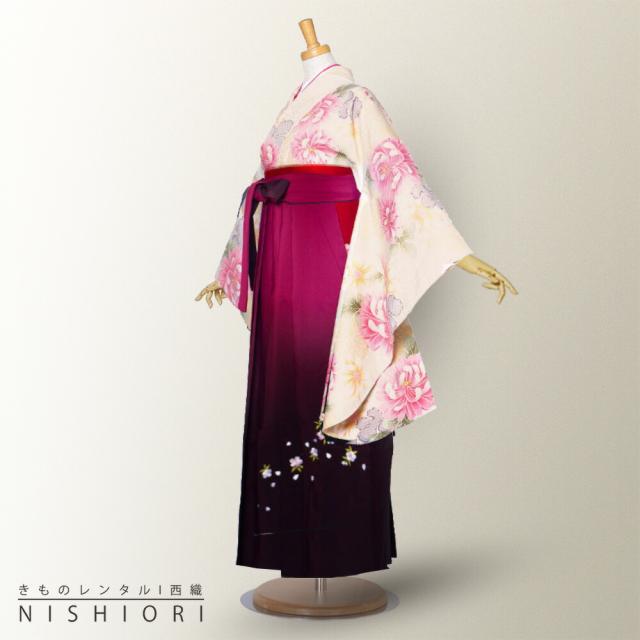 二尺袖 着物 袴 レンタル 貸衣装 Sサイズ Mサイズ Lサイズ 小学生 対応可 ピンク 菊 白 ワイン ブーツ選択可