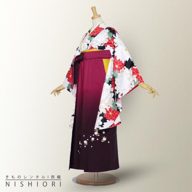 二尺袖 着物 袴 レンタル 貸衣装 Sサイズ Mサイズ Lサイズ 小学生 対応可 黒 牡丹 菊 ワイン ブーツ選択可