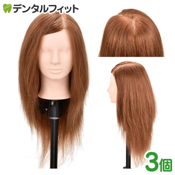 【送料無料】Ci セットアップ ウィッグ 81 3個【人毛100％ アップ カラー サロン専売品 プロ用 アシスタント ビギナー向け 練習 練習用 美容室 アップスタイル】