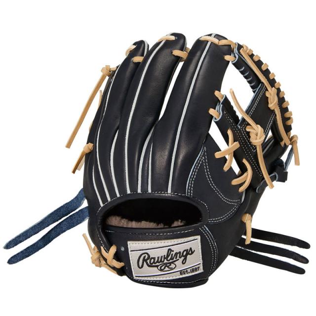 ローリングス Rawlings 硬式 HOH プレミアム N6X VB 硬式用グローブ グラブ 25SS GH5HPN6X