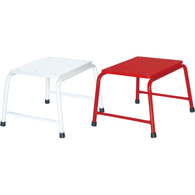 (代引き・個人宅配送・北海道・沖縄への配送不可)トーエイライト ポートボールダイ 学校機器 器具 (u7048)