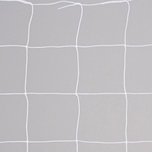 フットサル･ハンドボール兼用ゴールネットFH101 Evernew エバニューガッコウキキキグ(EKE361-W)