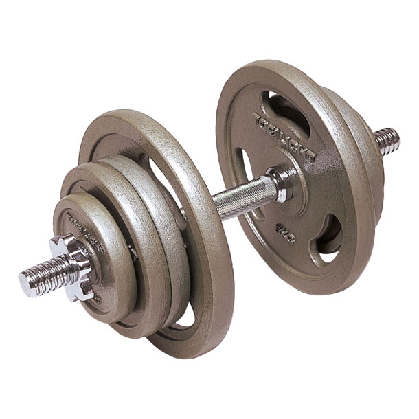 (代金引換・個人宅・北海道・沖縄県への配送不可)トーエイライト TOEI LIGHT ダンベル25kgセット ボディケアキグ (H9280)