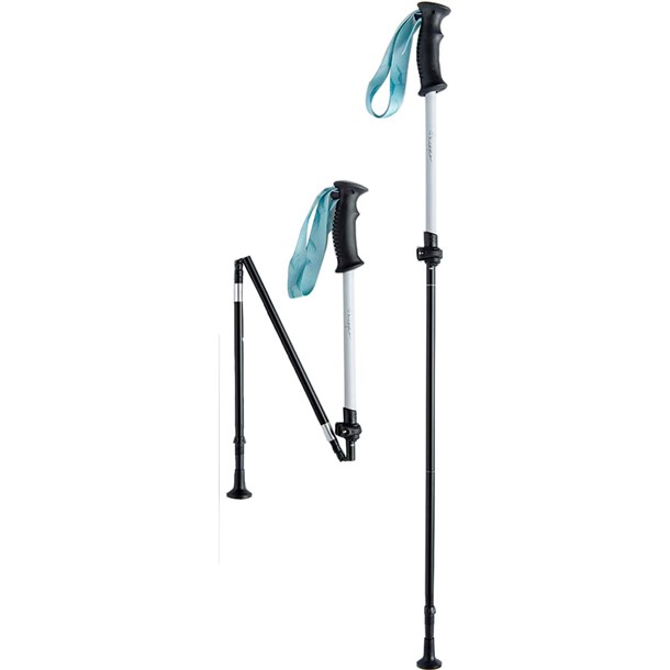 ハタチ HATACHI TRIPPO WALKER ウエルネスポール (wh1700-27)