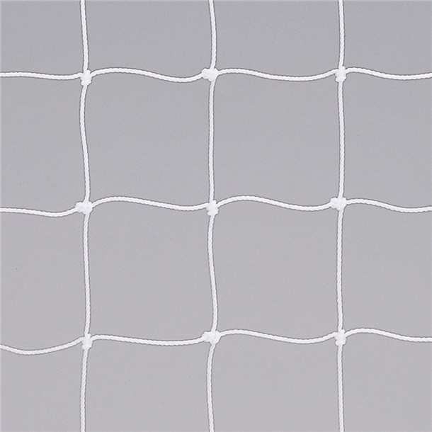 エバニュー Evernew ハンドゴールネットケンテイH109 ハントドッチネット (eke838)