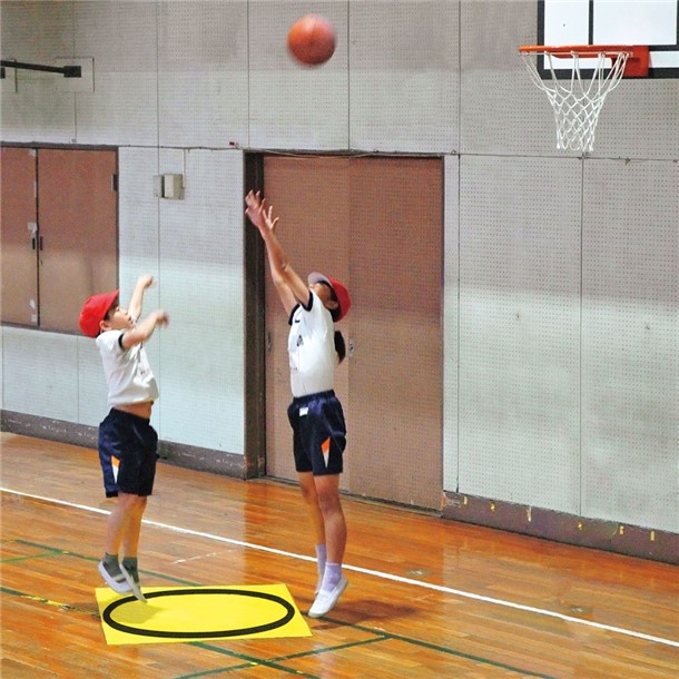 (代金引換・個人宅・北海道・沖縄県への配送不可)トーエイライト TOEI LIGHT バスケットシュートエリアシート バスケットグッズ (u7032)