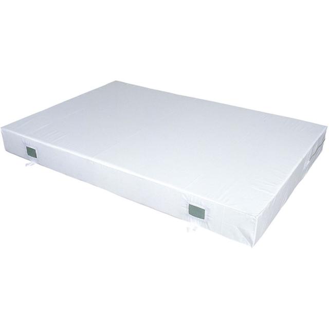 (代引き・個人宅・北海道・沖縄への配送不可)三和体育 シツナイヨウソフトマット150X200X20ベッ 学校機器 マット (s9772)