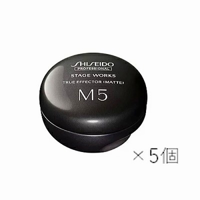 資生堂プロフェッショナル　トゥルーエフェクター M5 (マット)　80g×5個