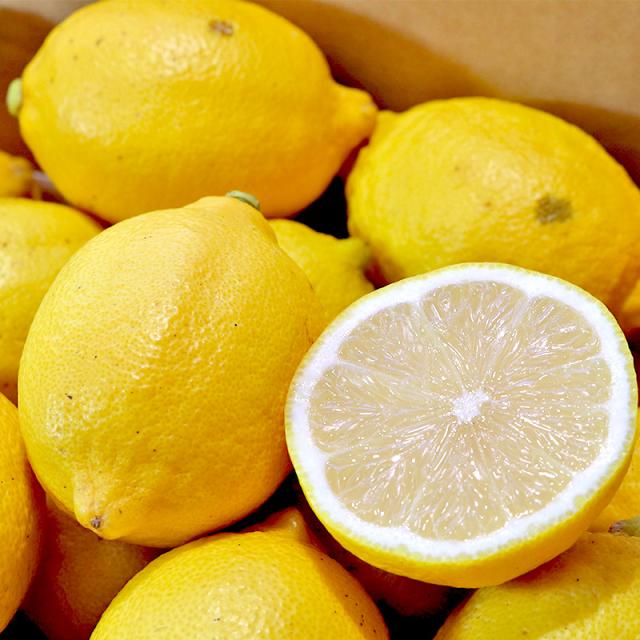 国産レモン 約5kg S〜Lサイズ 訳あり 愛媛県産・熊本県産 安心・安全の国内産レモン！ 刺激が強すぎない清涼感のある香りと果汁たっぷりのみずみずしい檸檬の通販はau PAY マーケット ...