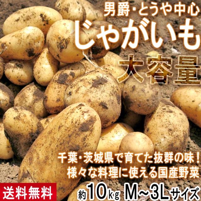 じゃがいも 男爵・とうや中心 約10kg M〜3Lサイズ 千葉・茨城県産 大容量 様々なお料理に使えるお得な国産野菜！の通販はau PAY マーケット - 産地から玄関へ | au PAY ...