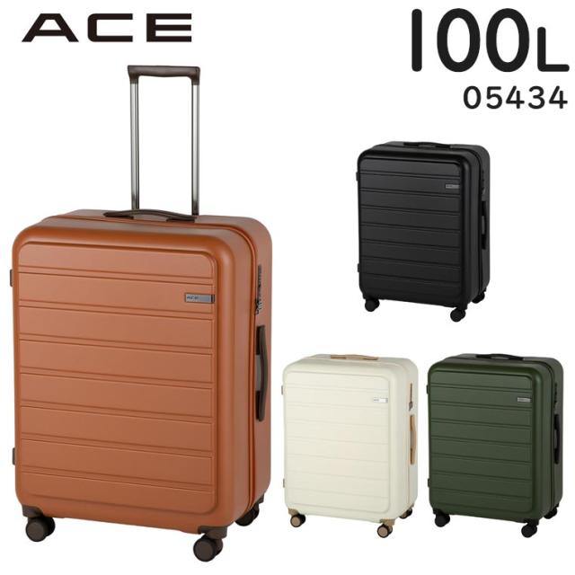 ACE フレットボード スーツケース (100L) ファスナータイプ キャスターストッパー機能 7〜10泊用 外寸計157cm 手荷物預け入れサイズ 05434