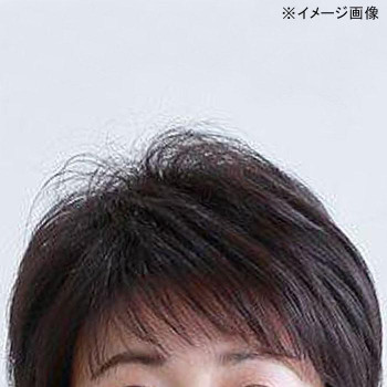 送料無料  プリシラ オールウィッグ ミセス ミニマムショート A-111 耐熱 TCK・ショコラブラック  ふんわりシルエットの美人ショートヘア
