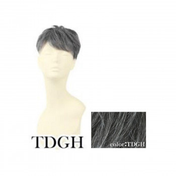送料無料  プリシラ  男性用5分ウィッグ レイヤーショート 耐熱 ダークグレイヘア GB-22-TDGH  レイヤーがたっぷり入った軽いショートスタイル