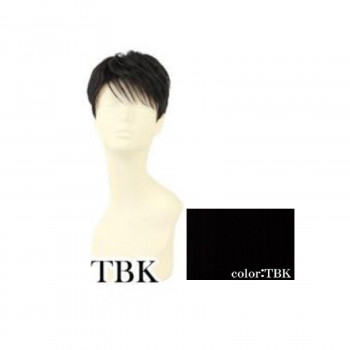 送料無料  プリシラ  男性用5分ウィッグ ボリュームショート 耐熱 ブラック GB-23-TBK  毛足が長く立ち上げやすいショートスタイル