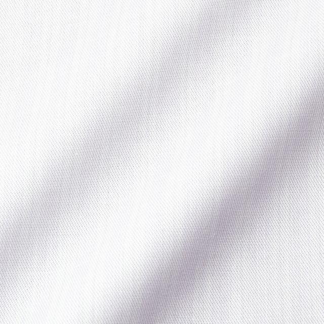 日清紡アポロコット クラシック ワイドカラー レギュラーフィット 長袖