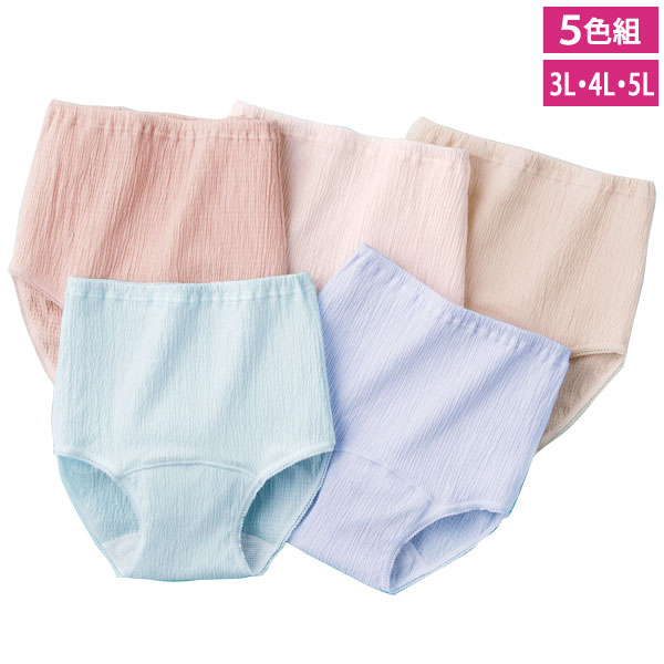 心地よくフィットする安心ショーツ 同サイズ5色組 3L・4L・5Lサイズ シャーリング素材 軽失禁用 吸水量約30cc レディース下着 434728
