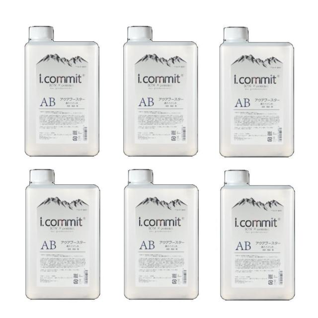ALPSion　i.commit　アイコミット アクアブースター　1000ml【×6点セット】