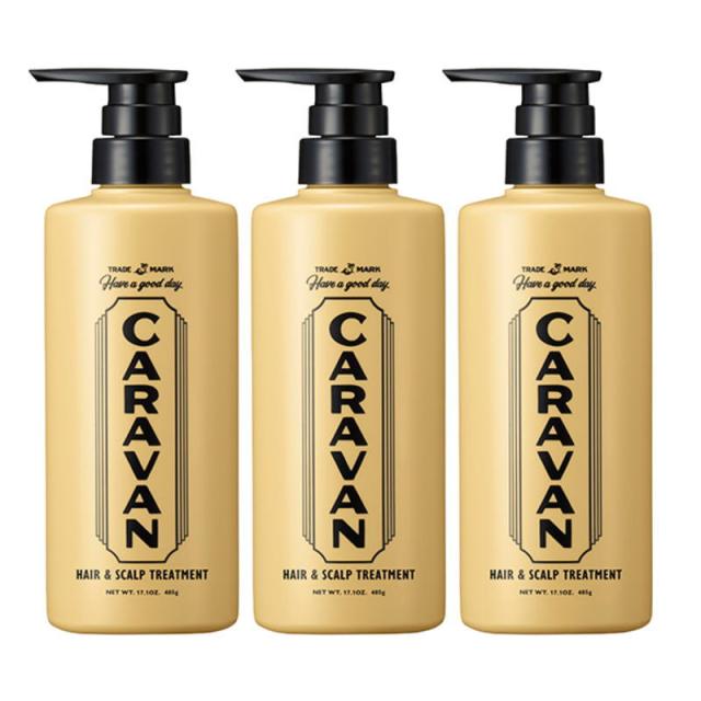 デミ　キャラバン　ヘア＆スカルプトリートメント　485g【3個セット】
