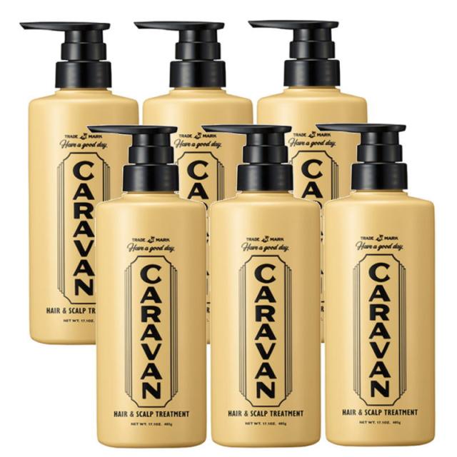 デミ　キャラバン　ヘア＆スカルプトリートメント　485g【6個セット】
