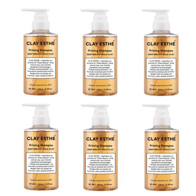 b-ex　クレイエステ　プライミングシャンプー　ゴールドクレイ　400ml ×6点セット