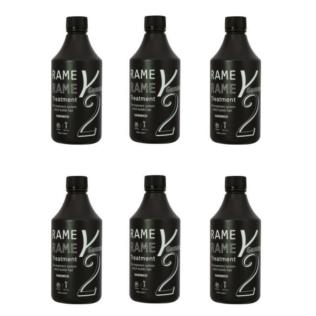 ハホニコ 　ザ・ラメラメNO.2 イオンチェンジャー ザ ガンマー(500ml) ×6点セット