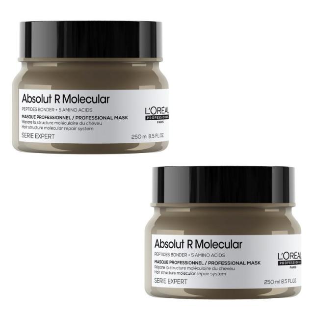 ロレアル プロフェッショナル  セリエ エクスパート 　 アブソルート　R　モレキュラー　マスク　250ml  ×2点セット