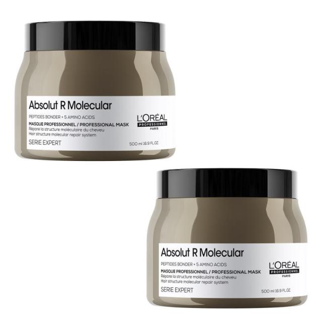 ロレアル プロフェッショナル  セリエ エクスパート 　 アブソルート　R　モレキュラー　マスク　500ml  ×2点セット