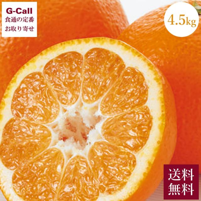 愛媛産 宮内いよかん 45kg 2l 16〜20玉前後 北海道・四国九州・沖縄送料別 いよかん フルーツ くだもの ギフト 贈答 柑橘 9996