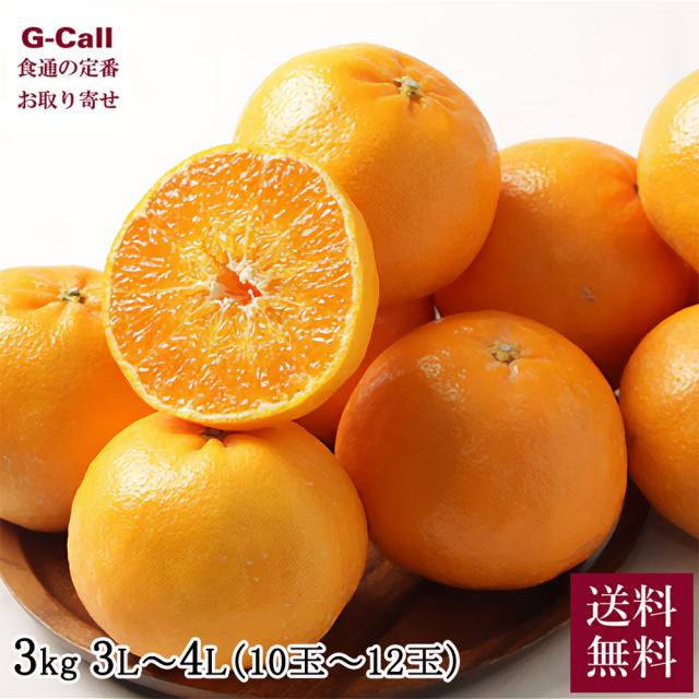 佐賀県産 ブランド柑橘 にじゅうまる 3kg 3L~4L 10玉〜12玉 化粧箱 3月上旬〜4月上旬頃発送 大阪市中央市場 万果 送料無料 みかん 柑橘 蜜柑 柑橘 果物 くだものの通販はau ...