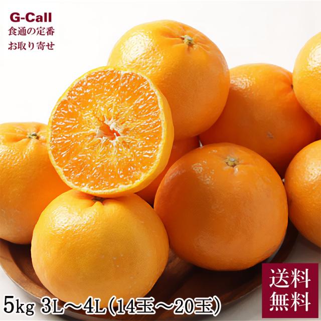 佐賀県産 ブランド柑橘 にじゅうまる 5kg 3L~4L 14玉〜20玉 バラ入り 3月上旬〜4月上旬頃発送 大阪市中央市場 送料無料 みかん 柑橘 蜜柑 柑橘 果物 くだものの通販はau ...