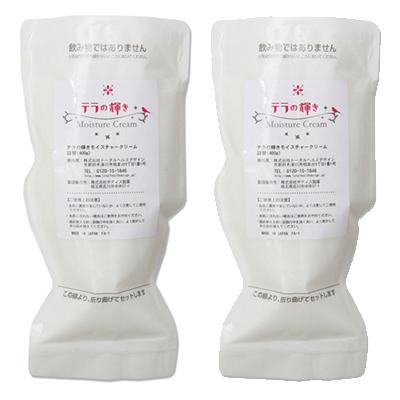 当日/翌日配送 テラの輝き モイスチャークリーム詰替パウチ400g 2袋セット【365日ヤマト倉庫出荷】 油分も水分もお肌に与えてくれるオールインワン型のゲルクリーム